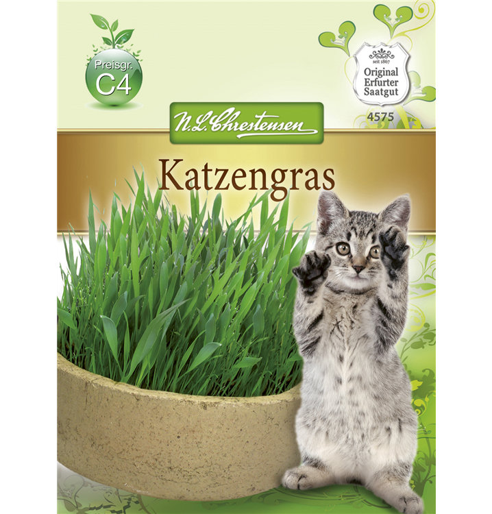 Katzengrassamen
